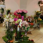 Fiori Le Bouquet (Aosta Valley, Saint-Christophe, Aosta, Via Croix Noire), çiçek teslimatı  Aosta'dan