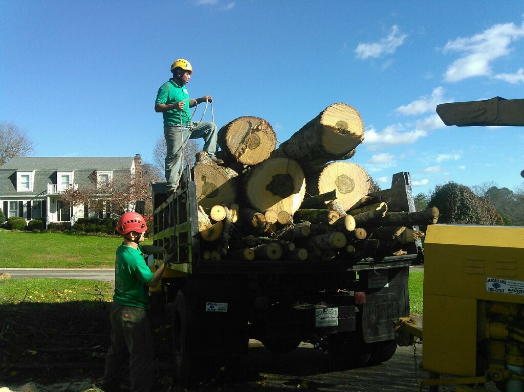 Bahçe ekipmanları ve teknolojileri Arborscapes tree service, Tennessee Eyaleti, foto