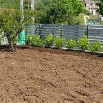 Verde Gentile - Vivaio (Campania, Salerno, Via degli Aranceti), peyzaj tasarımı  Campania'dan