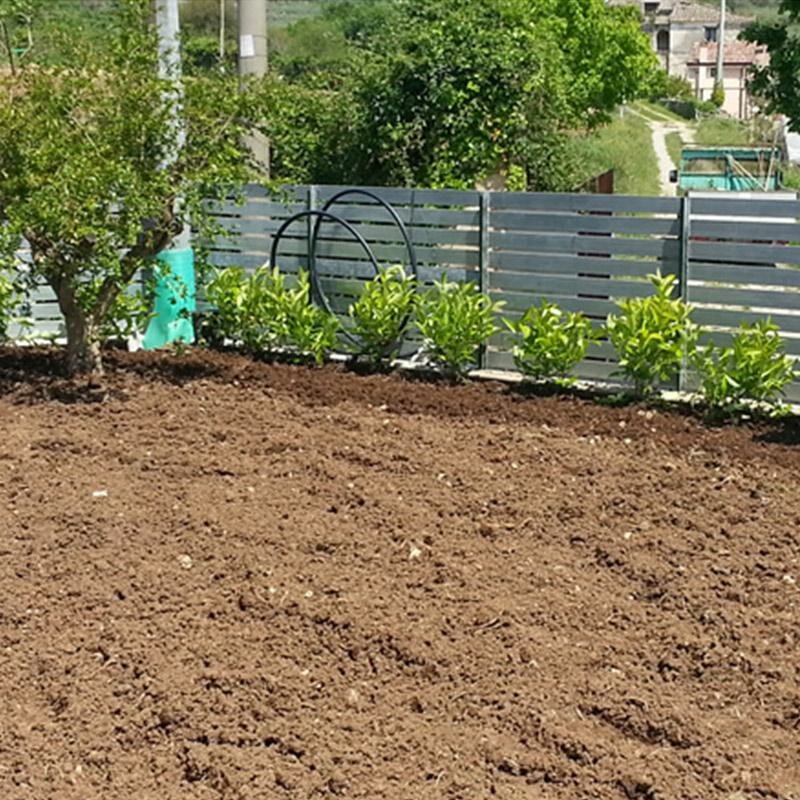 Peyzaj tasarımı Verde Gentile - Vivaio, Campania, foto