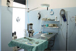 Ambulatorio Veterinario Associato Vittorio Veneto (Via Pasqui No:44, Arezzo), veteriner klinikleri  Arezzo'dan