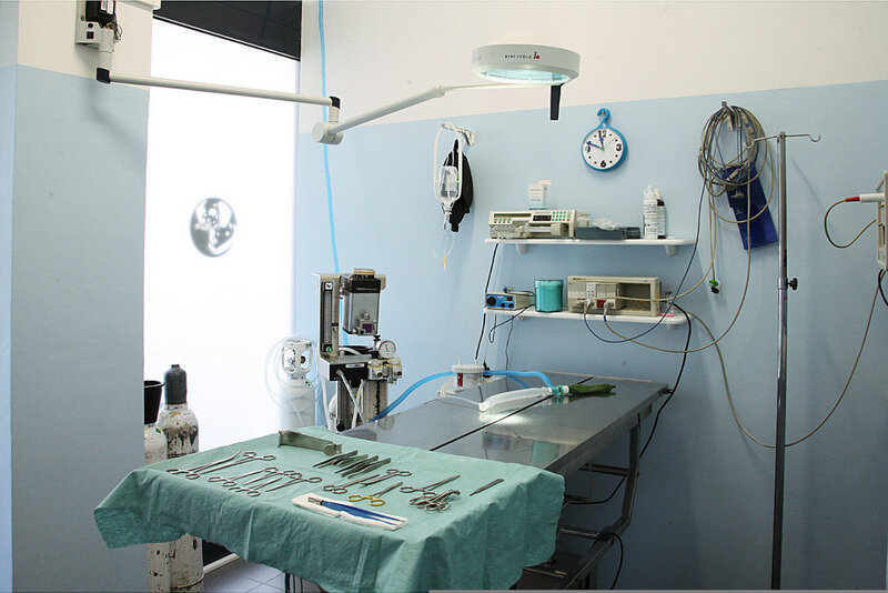 Veteriner klinikleri Ambulatorio Veterinario Associato Vittorio Veneto, Arezzo, foto
