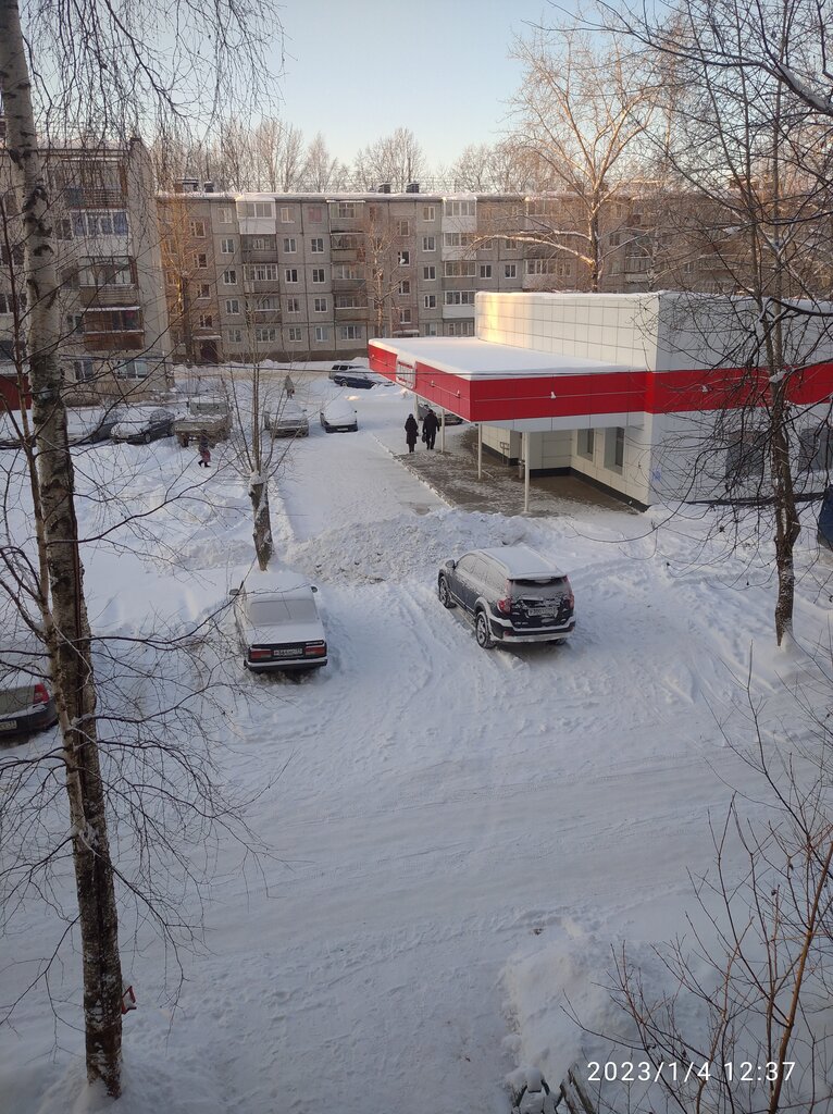 Market Magnit Moya Tsena, Syktivkar, foto