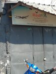 Redfox (Brazzaville, Commune de Poto-Poto, Bacongo Rue), seyahat acenteleri  Brazzaville'den