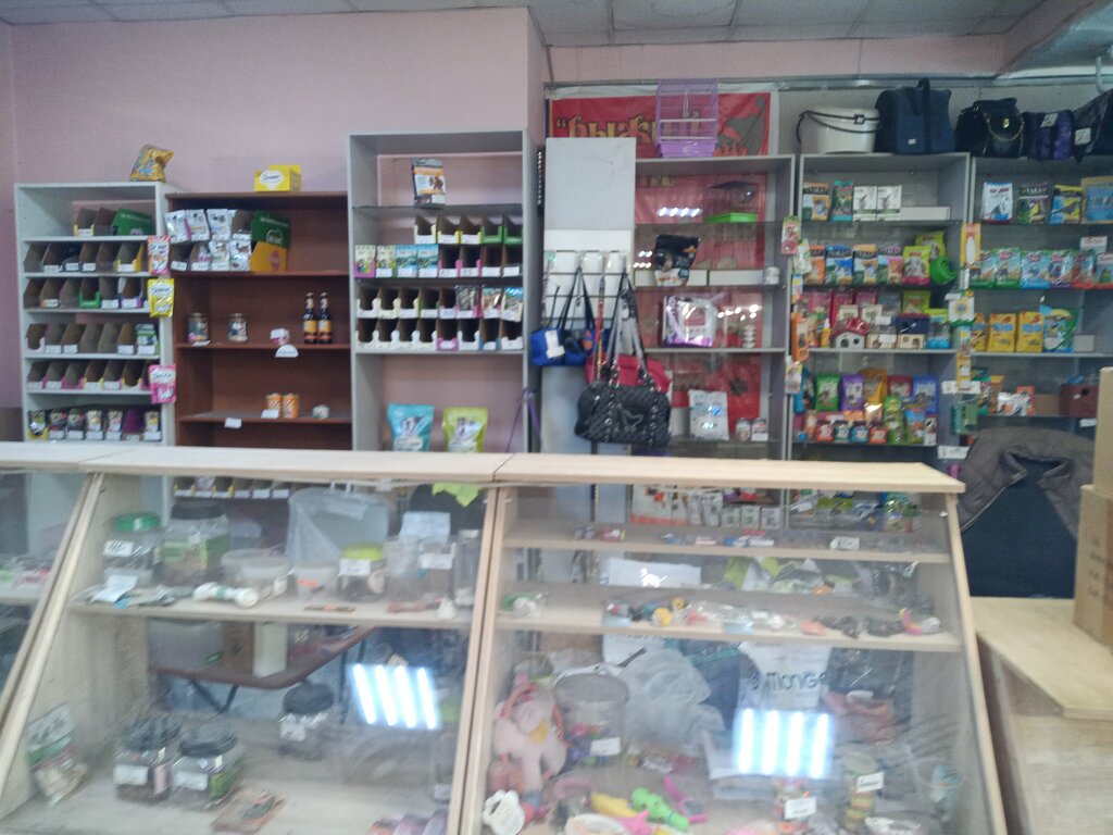 Petshop Рыжий кот, Volgograd, foto