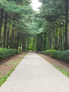 Дендрарий Вглту (Voronezh, Dendropark VGLTU), kültür ve eğlence parkları  Voronej'den