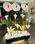 Kadi Flowers Trading (Mousa bin Nossir Street No:39/1, City of Kalba), çiçekçiler