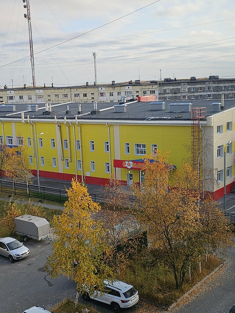 Yüksekokul ГБПОУ ЯНАО Ямальский Многопрофильный колледж, Nadym, foto