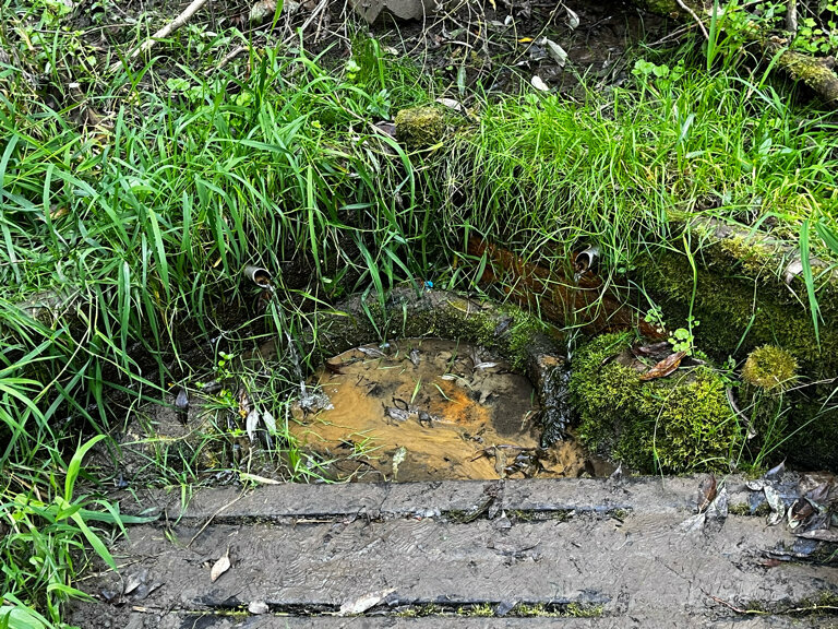 Pınar, çay Spring, stream, Moskova, foto