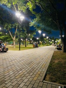 сквер Николая Музыки (Sevastopol, skver Nikolaya Muzyki), kültür ve eğlence parkları  Sevastopol'dan
