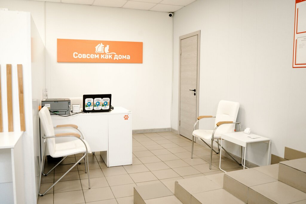 Pet otel Sovsem kak doma, Çeliabinsk, foto