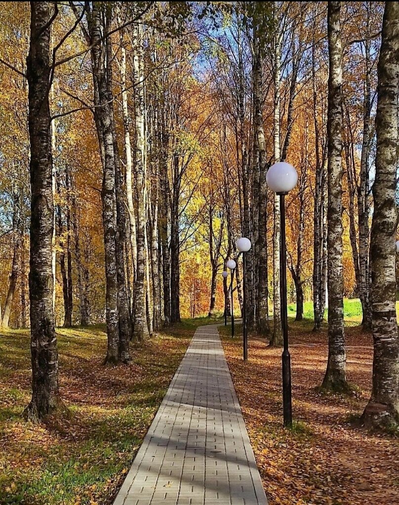 Kültür ve eğlence parkları парк Ветеранов, Totma, foto