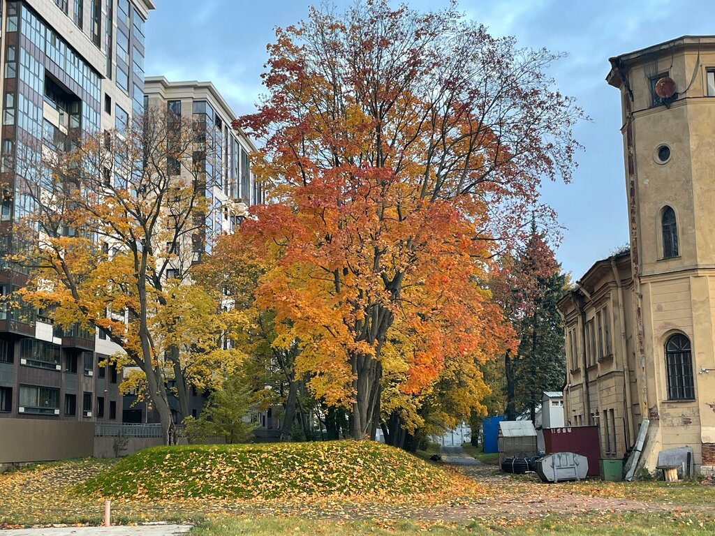 Turistik yerler Остатки земляного вала, Saint‑Petersburg, foto
