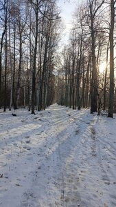 роща Декабристов (Tyumen Region, Yalutorovsk, roshcha Dekabristov), kültür ve eğlence parkları  Yalutorovsk'tan