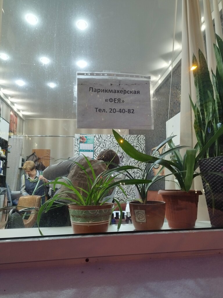 Kuaförler Фея, Murmansk, foto