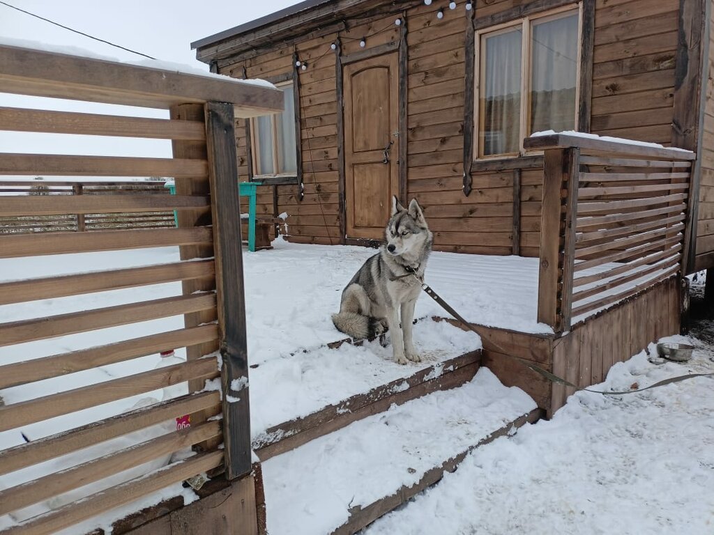 Kerestecilik Bigmarko, Riazanskaya oblastı, foto
