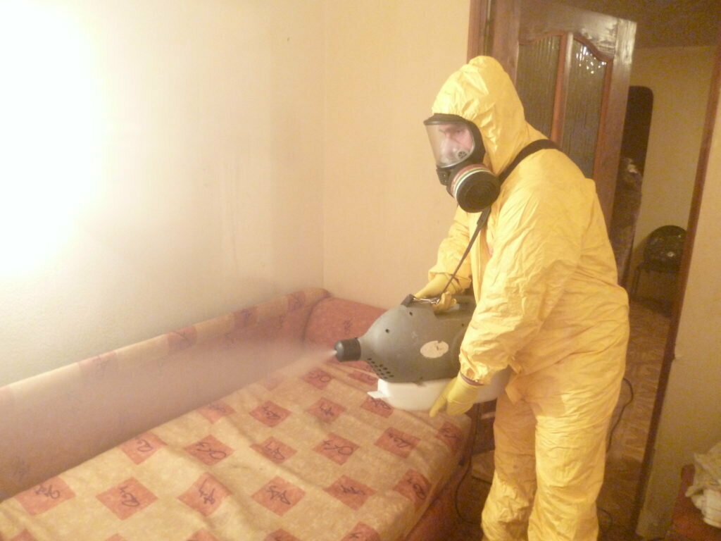 Haşere ilaçlama firmaları Sanepidemstanciya, Ufa, foto