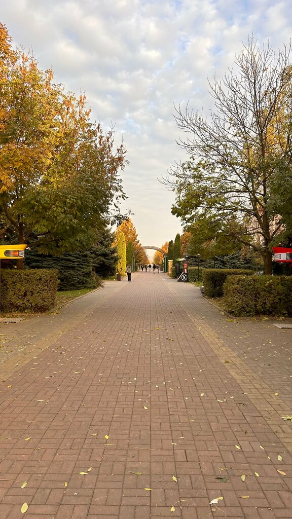 Kültür ve eğlence parkları аллея Республики, Magas, foto