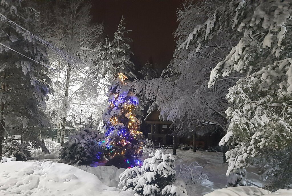 Bahçecilik dernekleri ve kuruluşları Snt Rodnichkovoye, Saint‑Petersburg ve Leningradskaya oblastı, foto