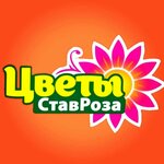 Stavroza (Staromaryevskoe Highway No:24А, Stavropol), çiçek teslimatı  Stavropol'dan