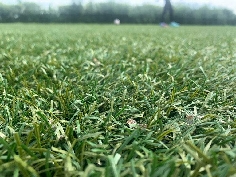 Spor alanı Футбольное поле, Saint‑Petersburg, foto