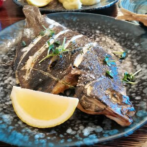 Fischhoff Рыбный двор (ulitsa Pobedy No:27, Rybachiy Village), kafe  Kaliningradskaya oblastından