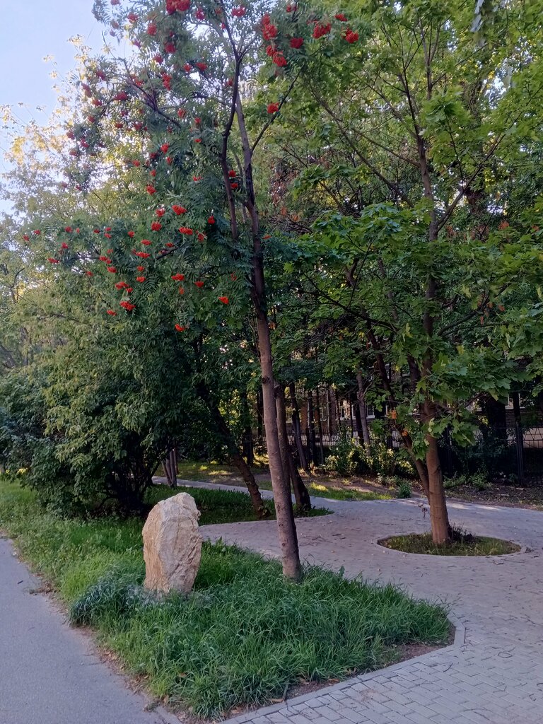 Kültür ve eğlence parkları Луспекаевский сквер, Saint‑Petersburg, foto