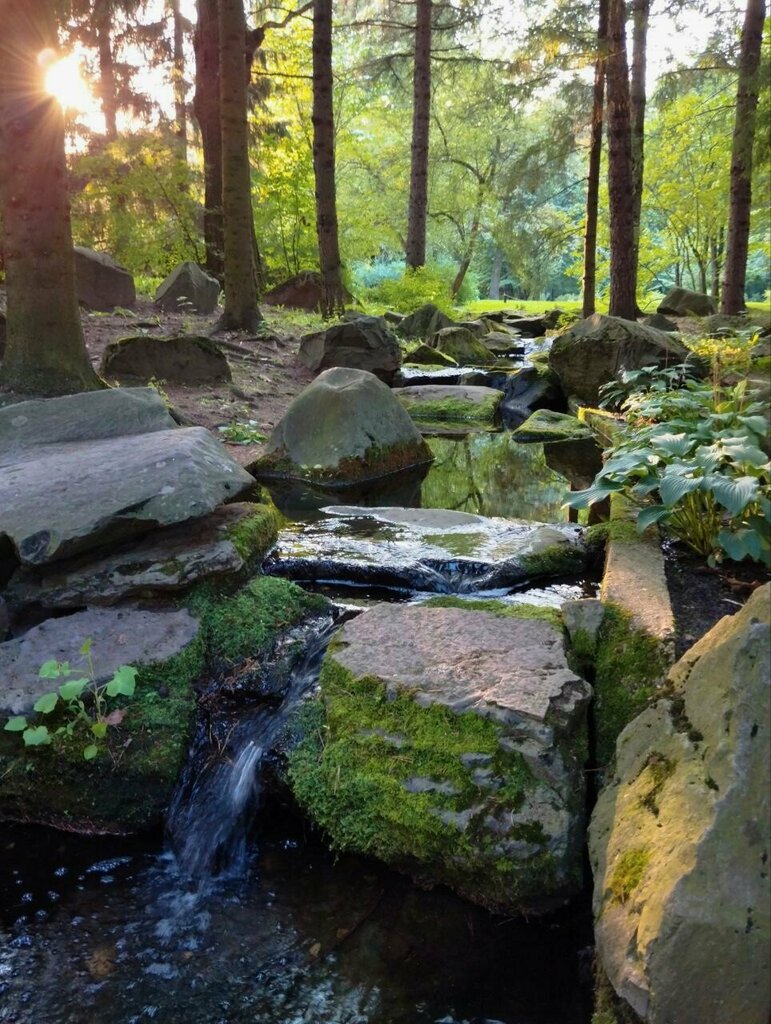 Şelale Waterfall, Moskova, foto