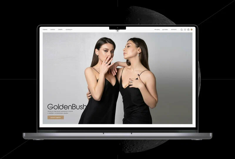 Web tasarım hizmetleri Web Studio Av23, Podolsk, foto