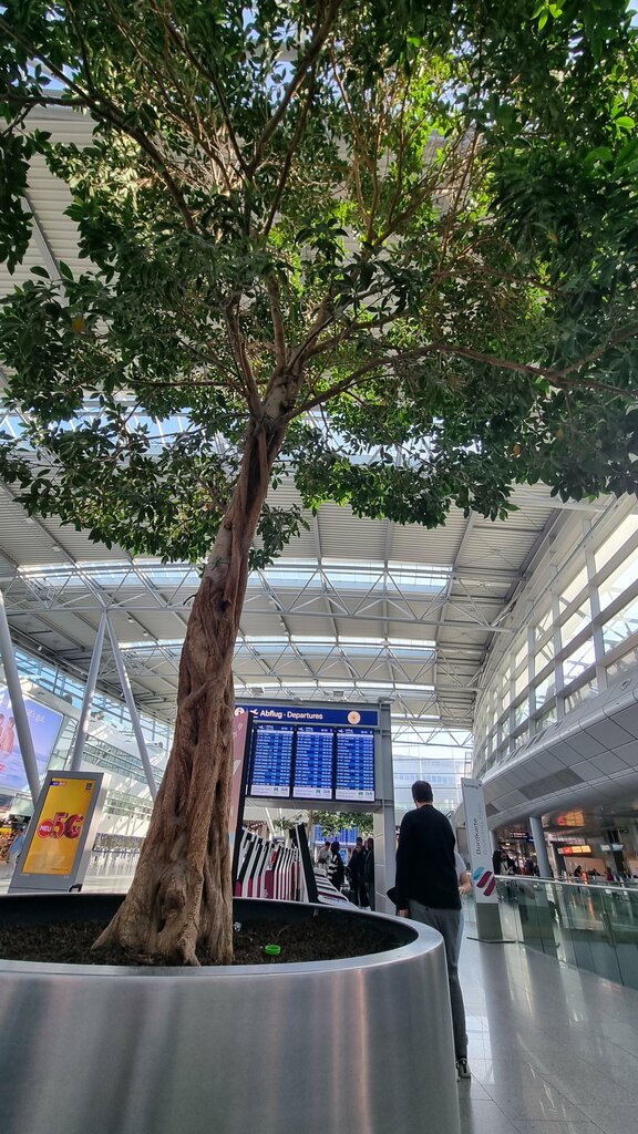Havaalanları Düsseldorf Uluslararası Havalimanı, Kuzey Ren‑Vestfalya, foto