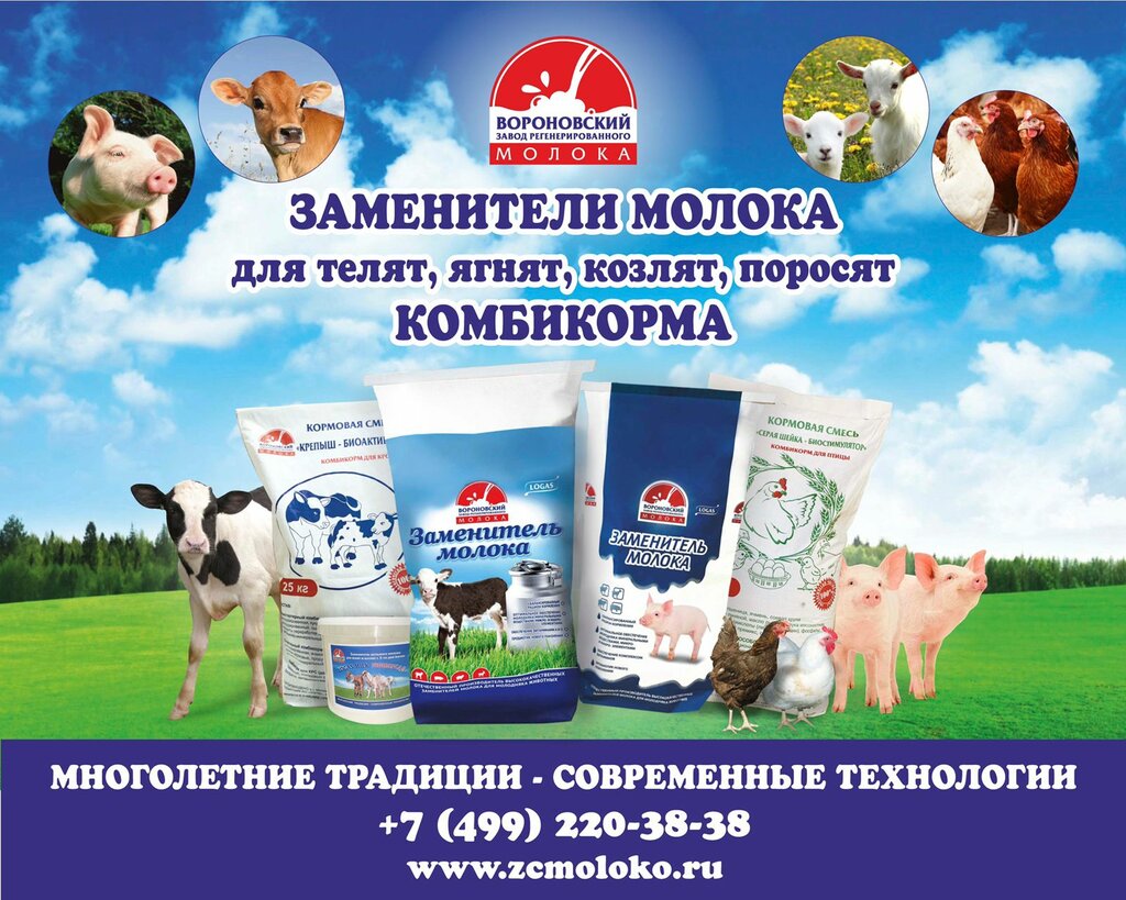 Gıda üreticileri Voronovsky zavod regenerirovannogo moloka, Moskova, foto
