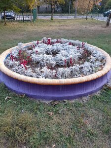 Fountain (Moscow, Yugo-Vostochniy Administrative Okrug, Tekstilschiki District, 90A Quarter of Grayvoronovo), çeşme  Moskova'dan