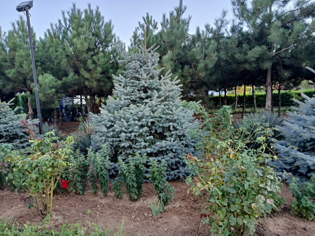 Market Центральный овощной, Kırım Cumhuriyeti, foto