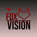 Fox Vision (Moskovskiy prospekt No:54), güvenlik ve alarm sistemleri  Puşkino'dan