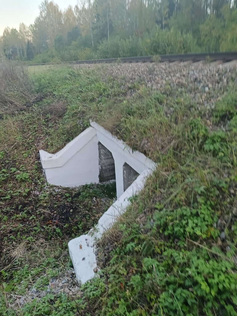 Turistik yerler Черный мост, Smolenskaya oblastı, foto