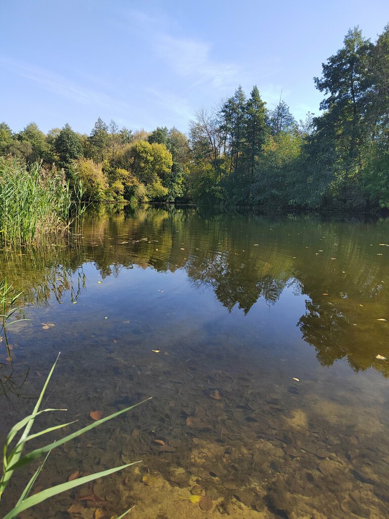 Plaj Донской пляж, Miçurinsk, foto