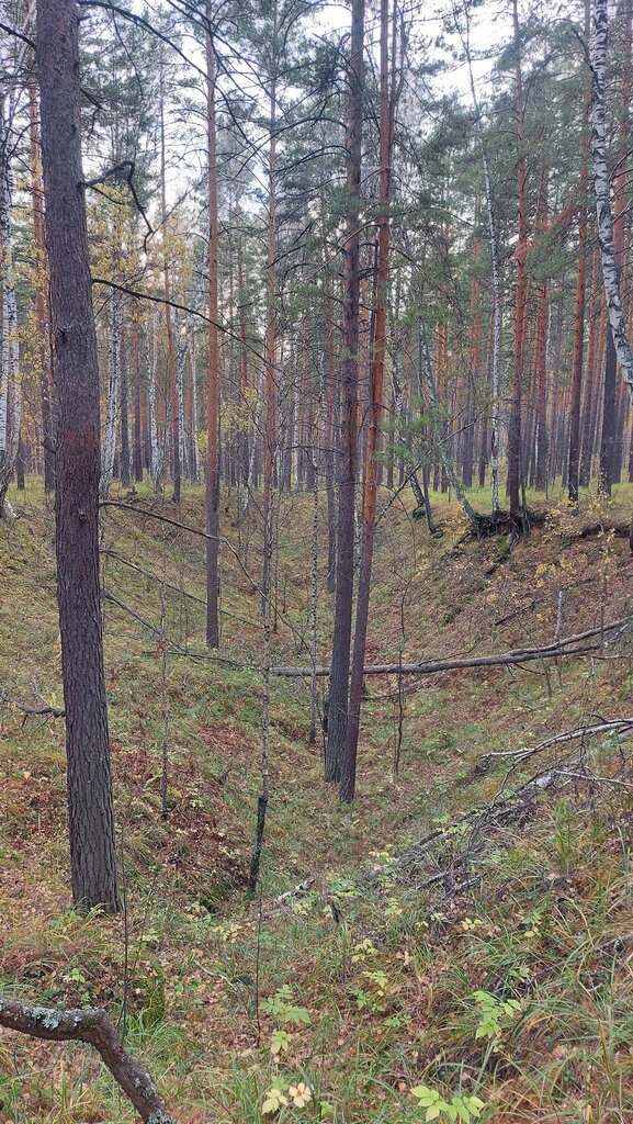 Turistik yerler Грауманский железный рудник, Sverdlovskaya oblastı, foto