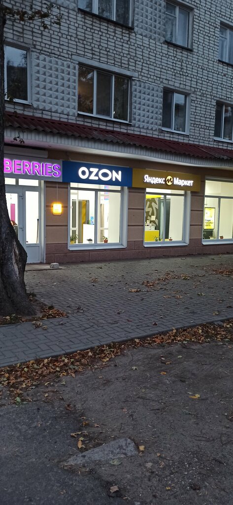 Teslimat noktası Ozon, Novozybkov, foto