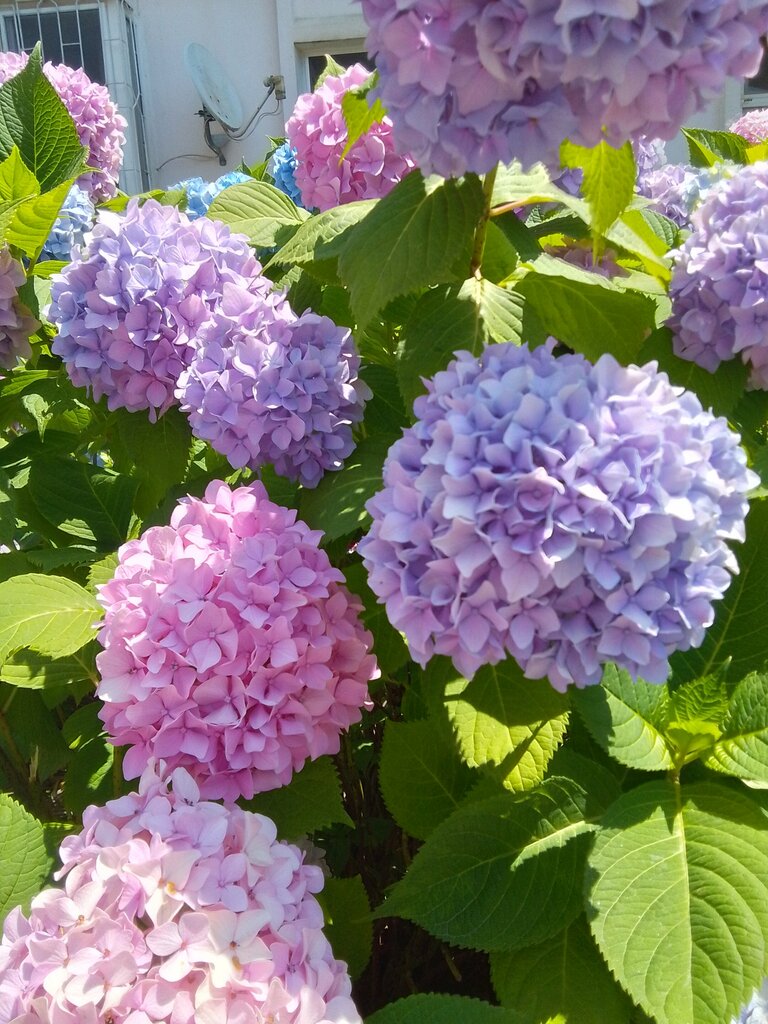Hediyelik eşya üretimi ve toptan satışı Пиковая Империя, Moskova ve Moskovskaya oblastı, foto