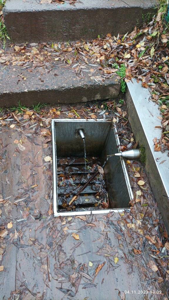 Pınar, çay Spring, stream, Novgorodskaya oblastı, foto