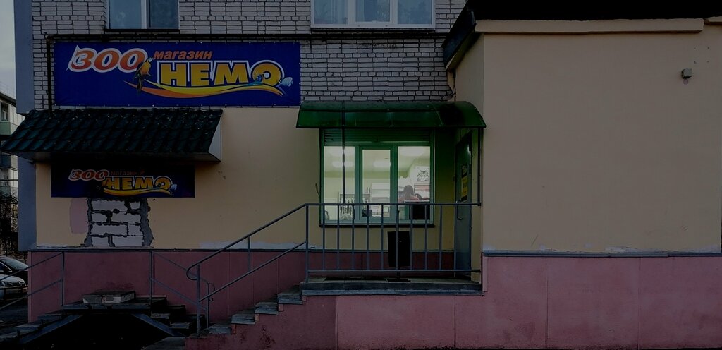 Petshop Немо, Şadrinsk, foto