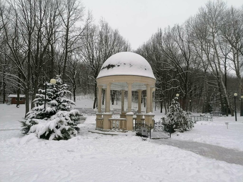 Orman Урочище Маршалково, Belgorodskaya oblastı, foto