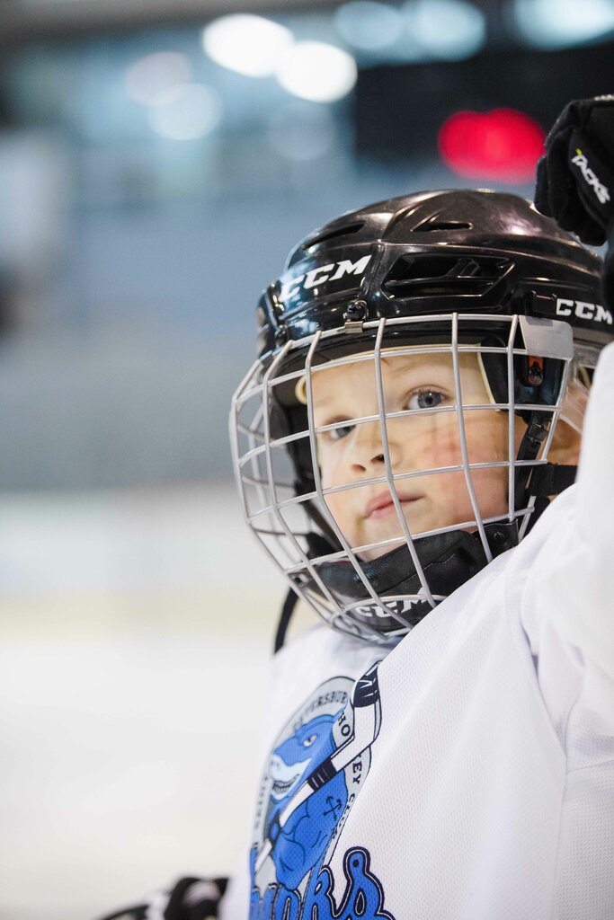 Spor kulüpleri Sharks Kids, Saint‑Petersburg, foto