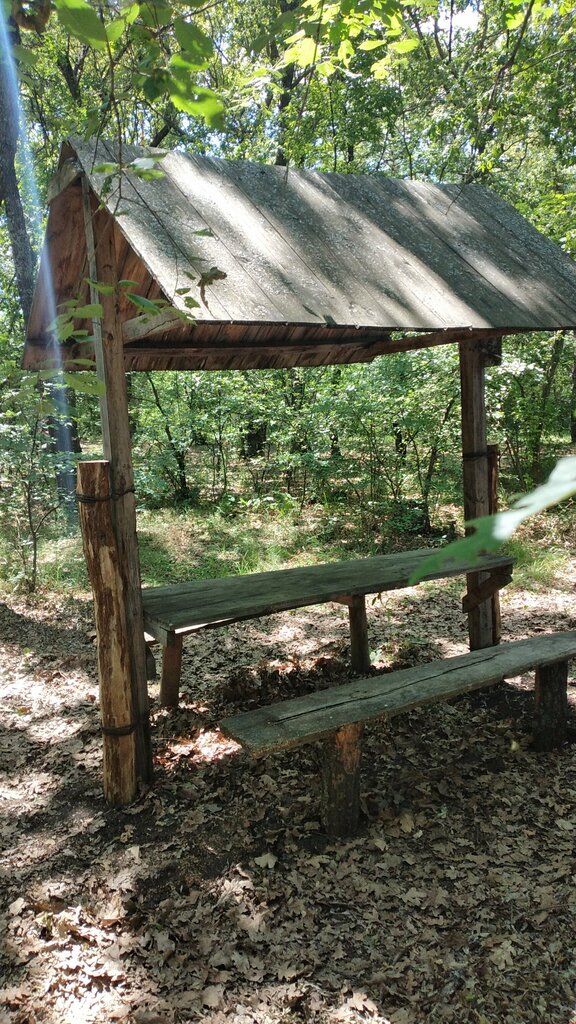 Piknik alanı Место для пикника, Volgogradskaya oblastı, foto