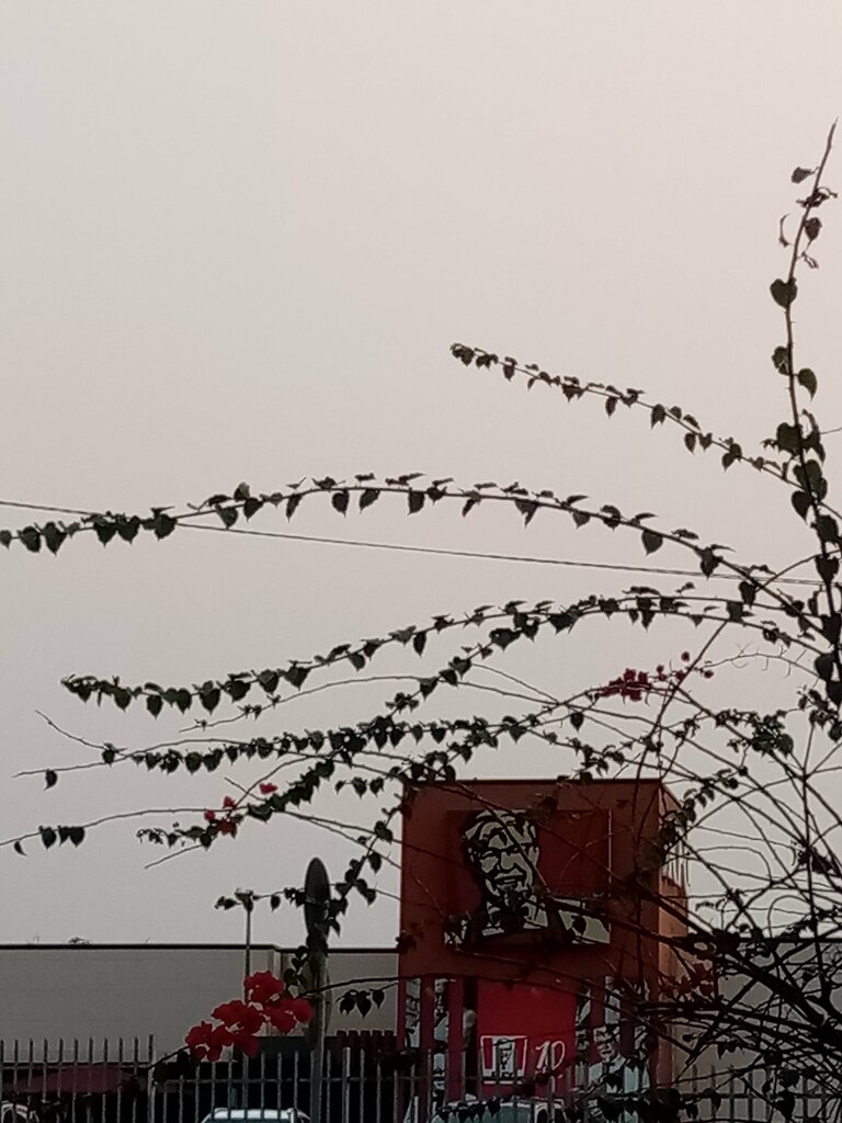 Fast food KFC, Loanda, foto