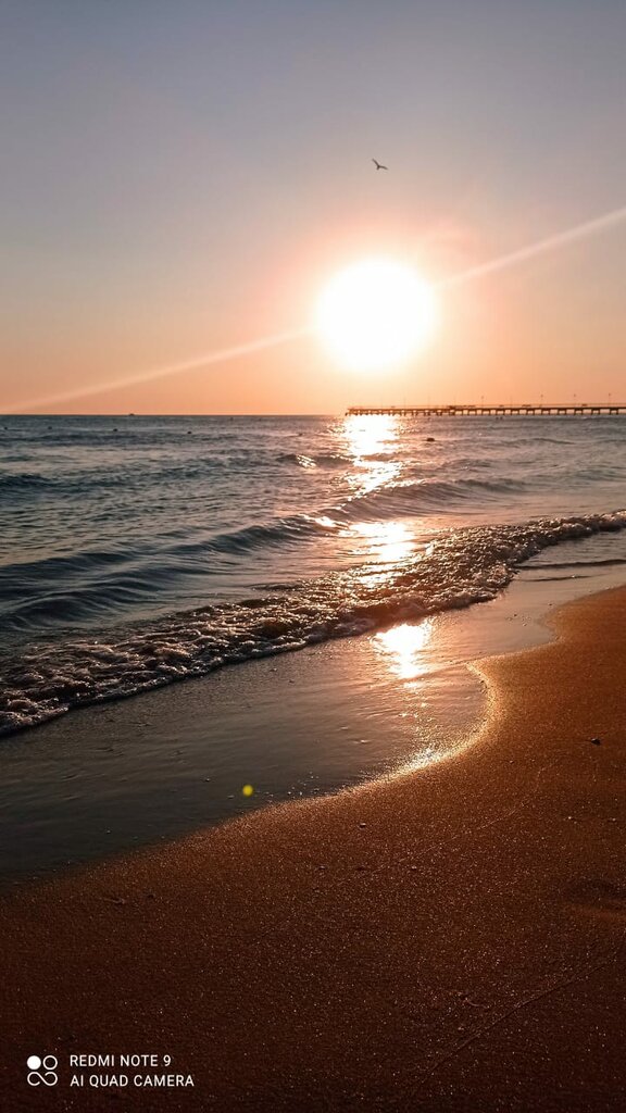 Plaj Beach Territory Dvoryanskoye gnezdo, Krasnodarski krayı, foto
