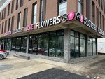 Love Flowers (Rostevani Street No:57), çiçekçiler  Tiflis'ten