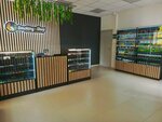 Смокинг Шоп (Yeniseyskaya ulitsa No:48), elektronik sigara satış noktaları  Samara'dan
