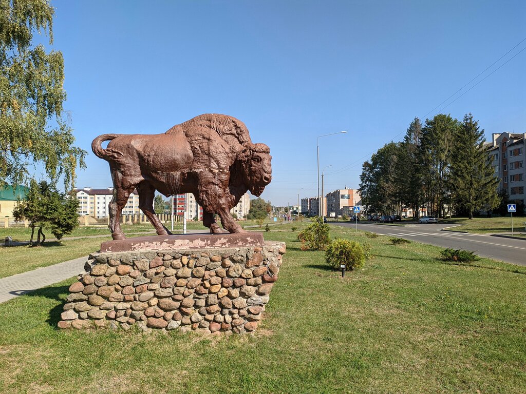 Park, sokak heykeli Зубр, Kamenets, foto