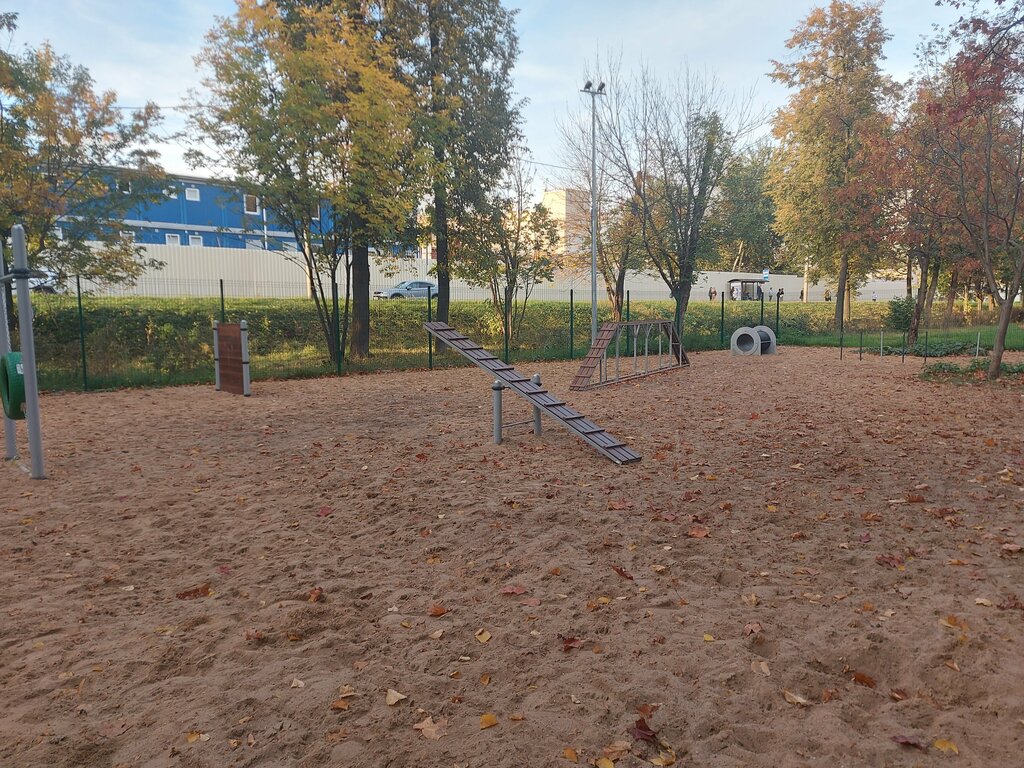 Köpek gezdirme alanları Dog park, Moskova, foto